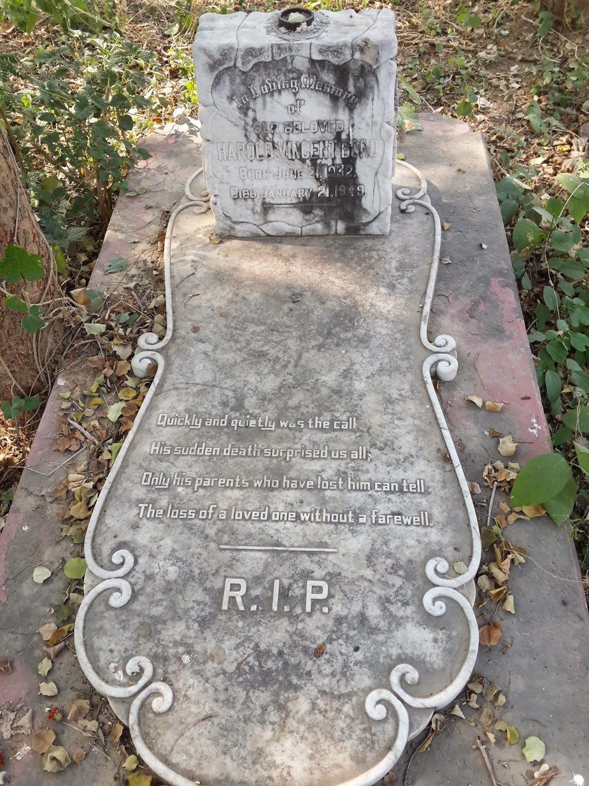 guava gardens: Harold Vincent Bond 1932-1949